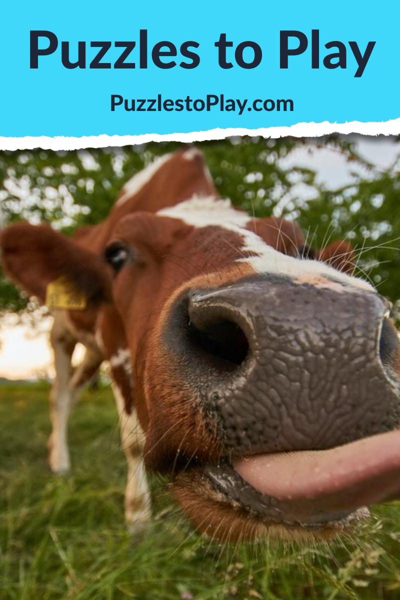 Why Play Word Search Puzzles Puzzles To Play